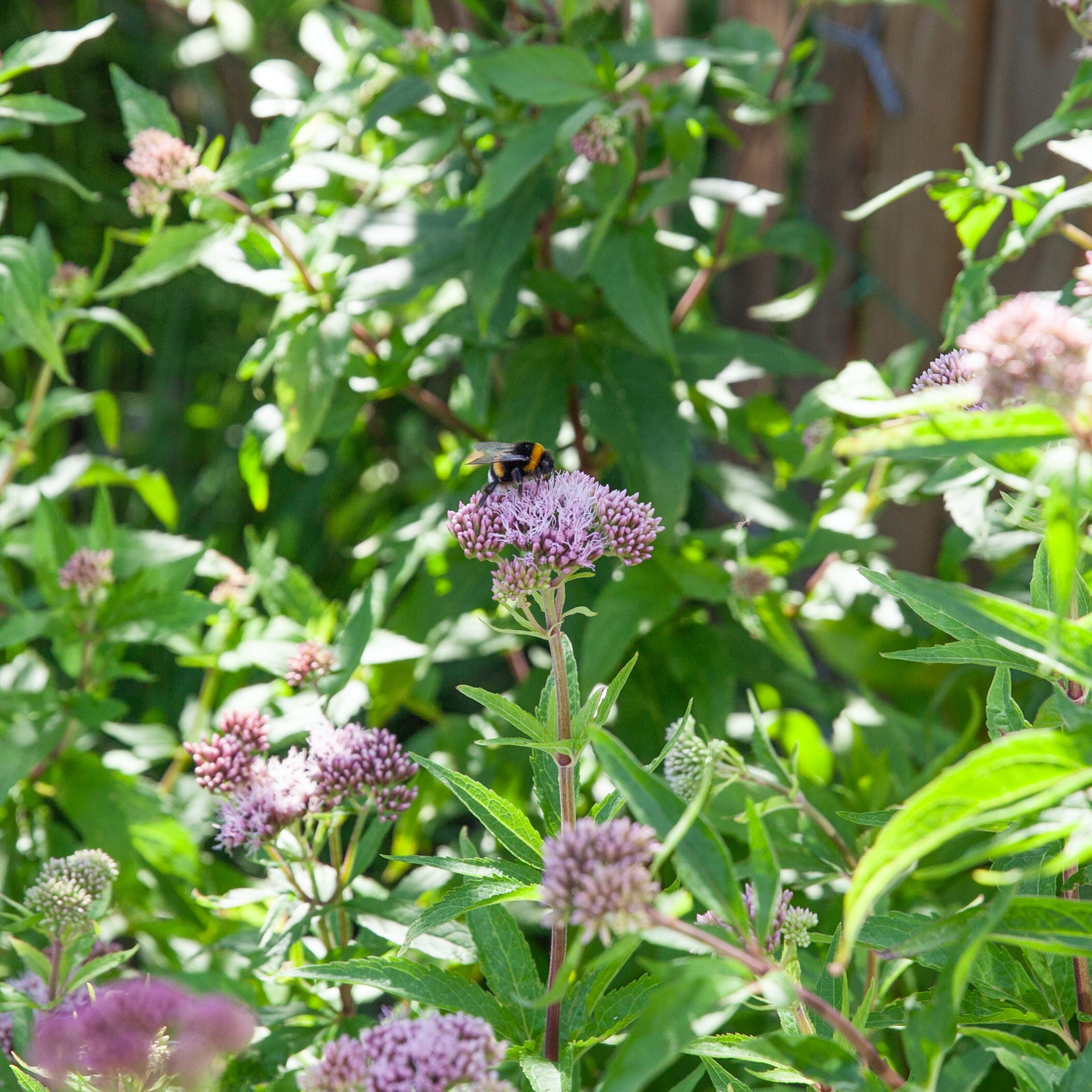 De giftige trends van 2024 – Sprinklr