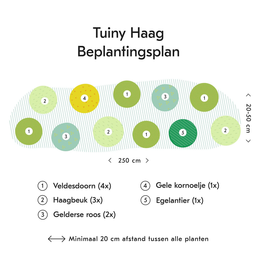 Tuiny Haag | Pakket vol Inheemse haagplanten | Sprinklr.co