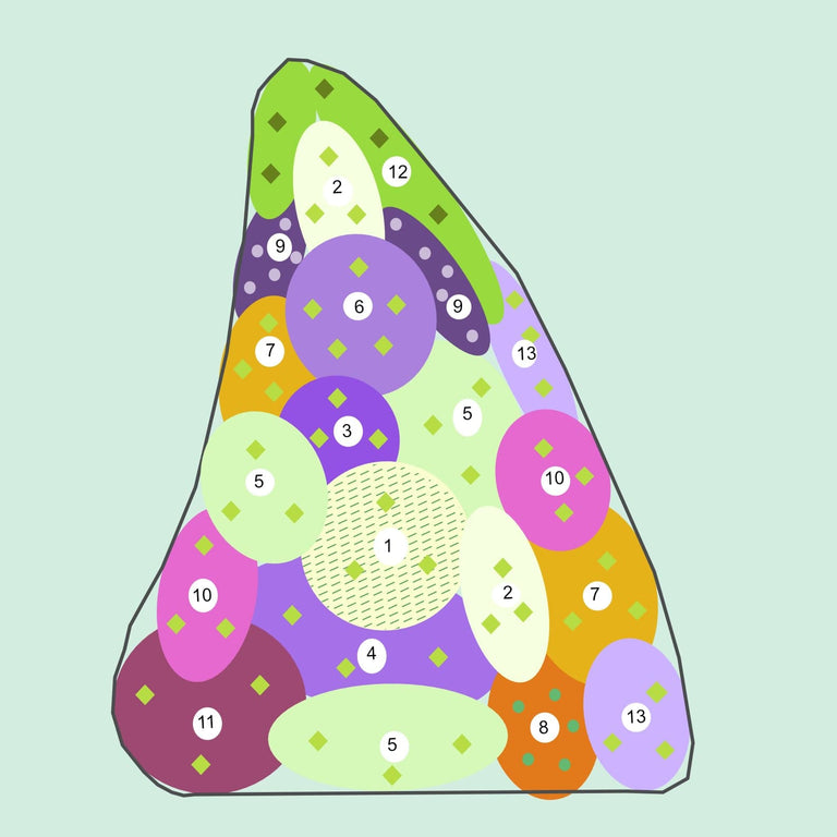 Beplantingsplan op maat voor een natuurlijke border | Sprinklr.co