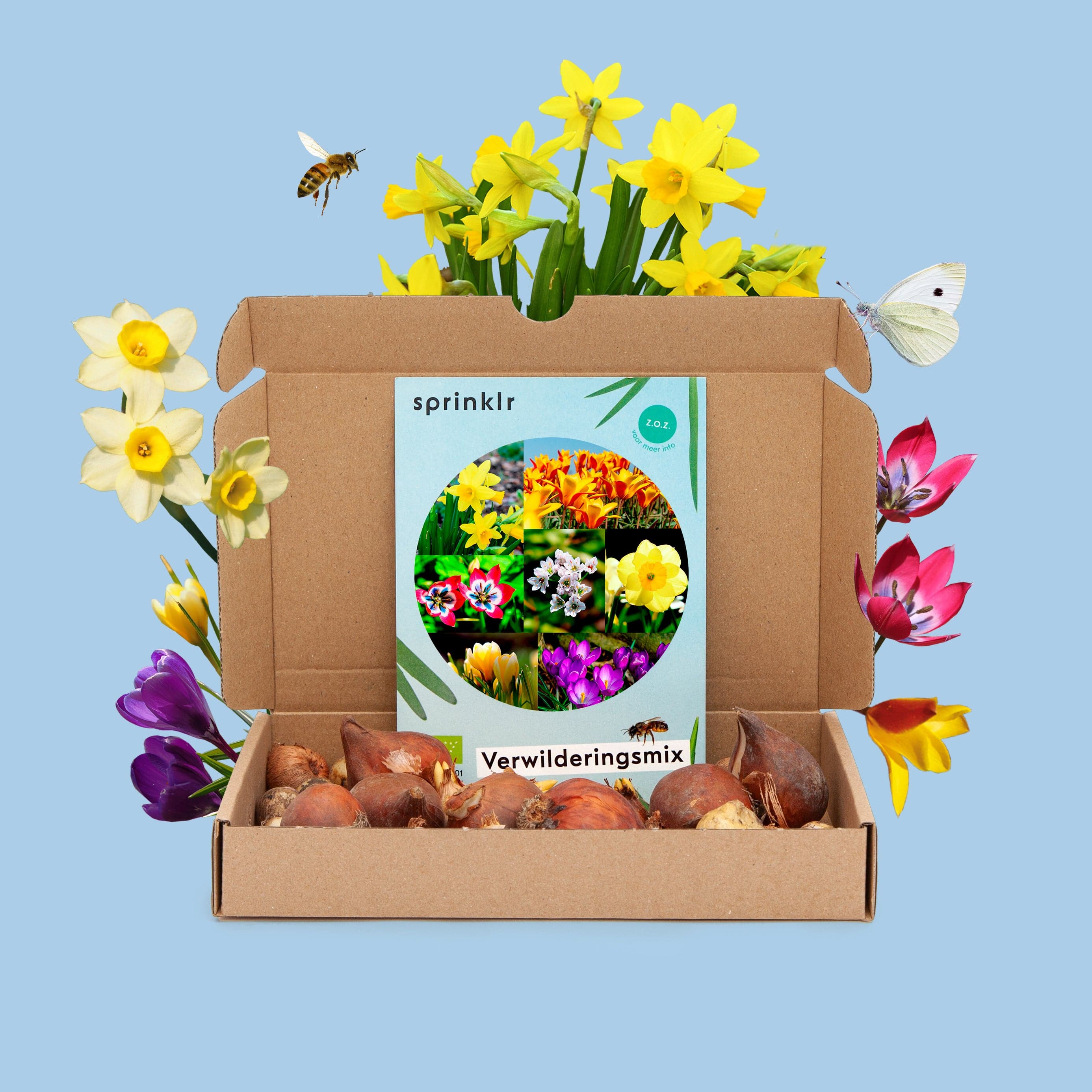 Geef biologische bollen cadeau | Brievenbuscadeau Verwilderingsmix – Sprinklr