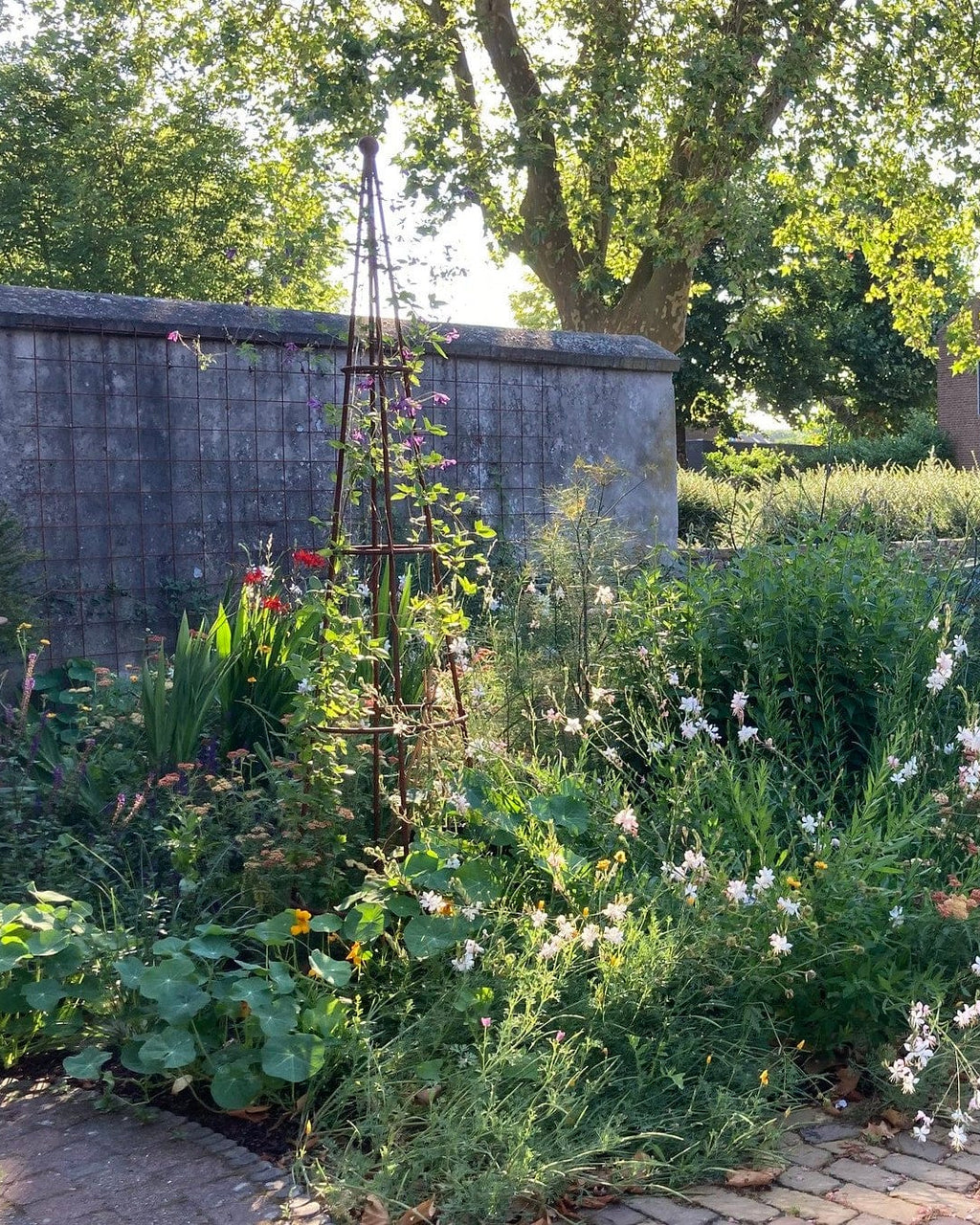 Beplantingsplan op maat voor een natuurlijke border | Sprinklr.co