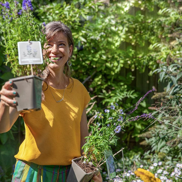 Biologische tuinplanten & Duurzame kamerplanten vind je bij Sprinklr